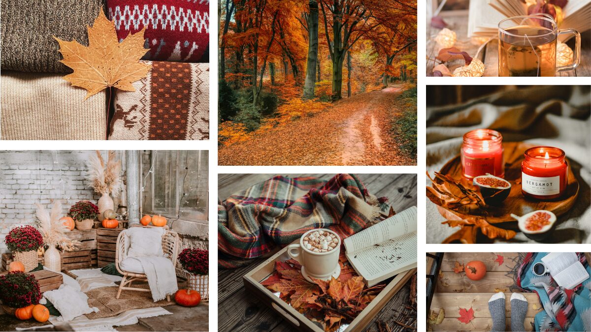 Six Cozy Autumn Board Games 🍂 | MeepleNest
